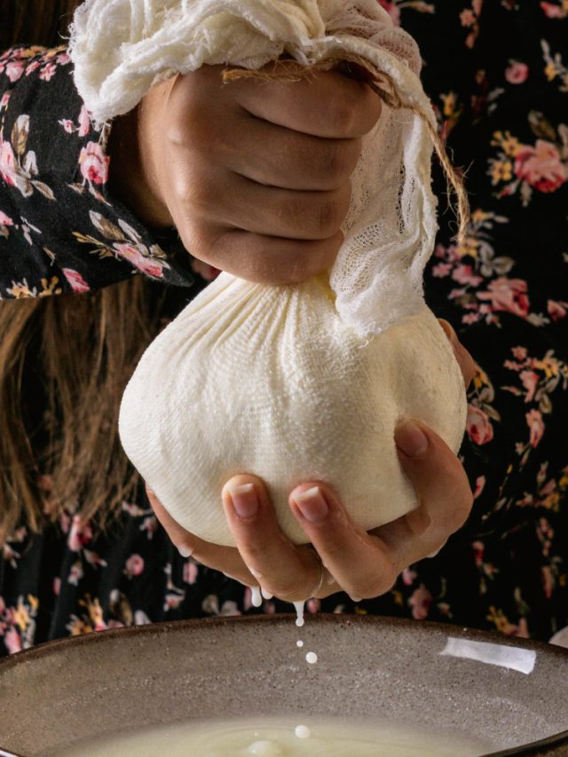 7 Smart Ways to Recognise Fake Paneer at Home - Pravarsha Blog