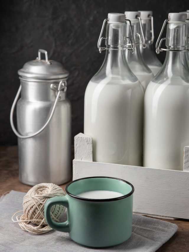 How to Reuse Spoiled Milk: 6 Easy Ideas - Pravarsha Blog